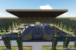 SWAN Sustainable Farms and Stations | AGRITEKTURA